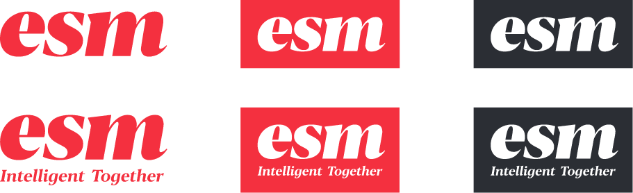 Brand Identity Case Study - ESM
